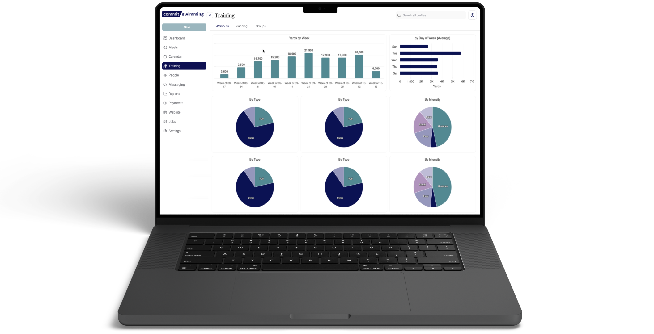 Swim Team Management Software - Commit Swimming